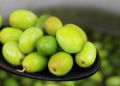 Olive picholine : une délicieuse olive du gard