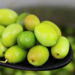 Olive picholine : une délicieuse olive du gard