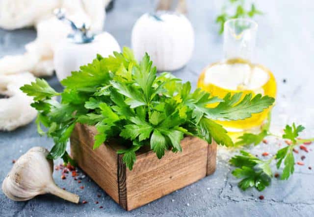 Persil : Culture, Entretien et Utilisation