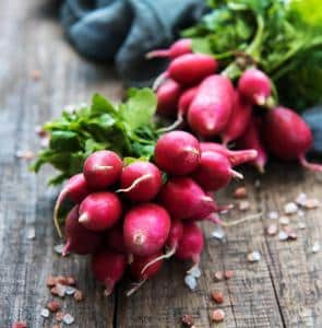 Radis : Culture, semis, entretien et récolte des radis