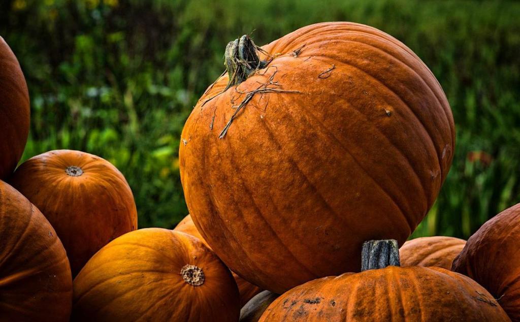 Citrouille : bienfaits et vertus pour la santé