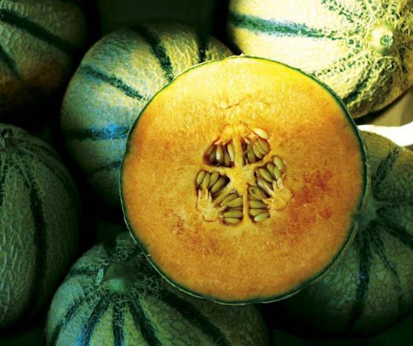 Melon : bienfaits et vertus pour la santé