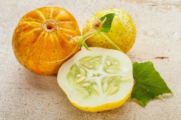 6 délicieuses variétés de concombre à cultiver au potager