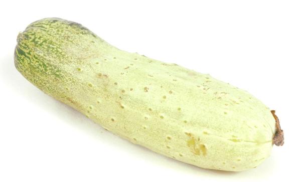 6 délicieuses variétés de concombre à cultiver au potager