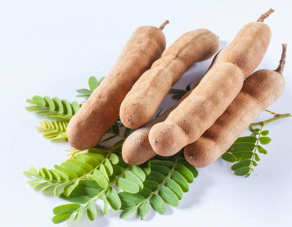 Tamarinier : plantation, culture, entretien et récolte