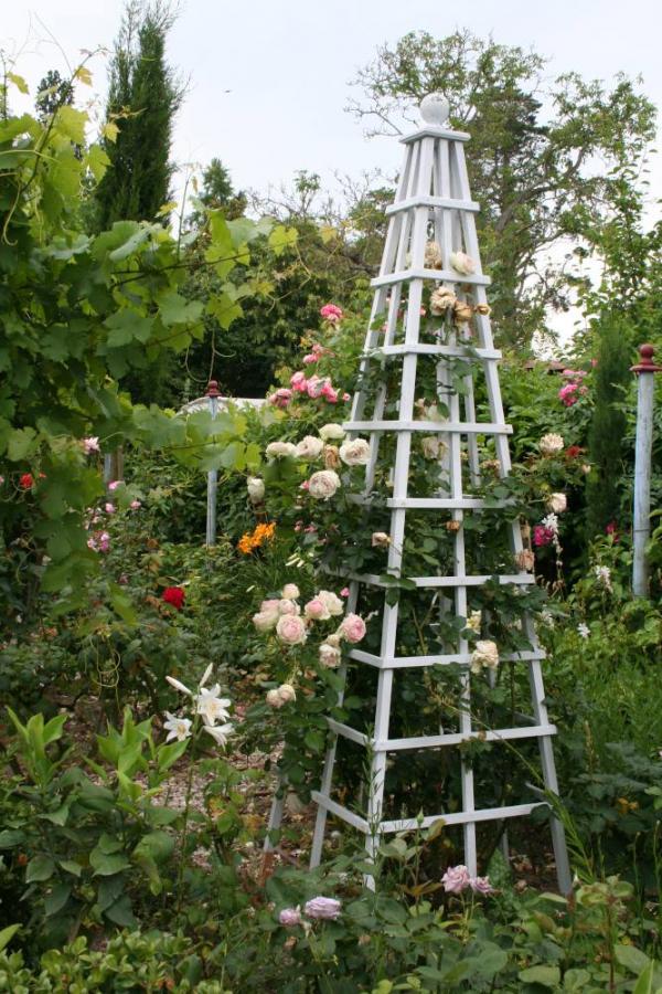Tuteurs de charme pour rosier grimpant : idées et conseils