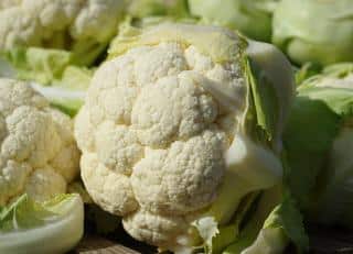 Chou-fleur : tout savoir sur sa culture, du semis à la récolte