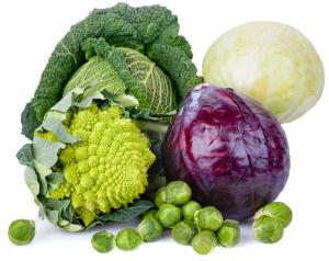 Les différents choux : variétés, différences et utilisation en cuisine