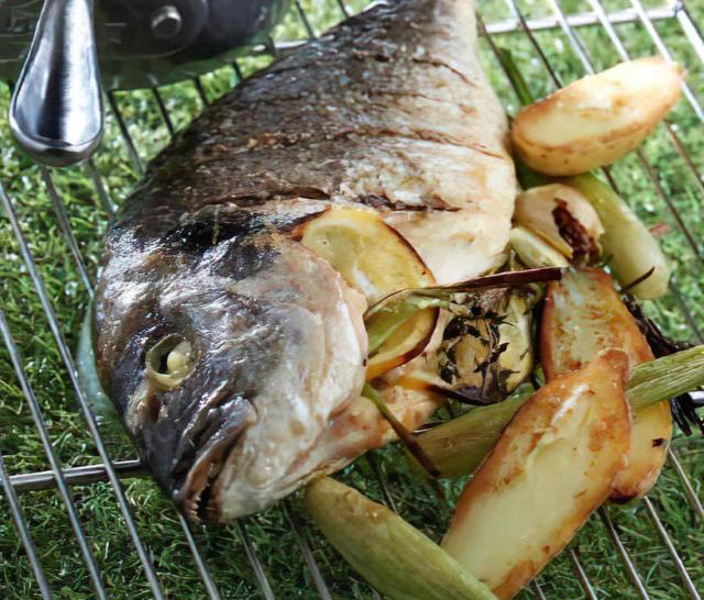 Dorade royale au barbecue | fenouil, citron et sauce vierge