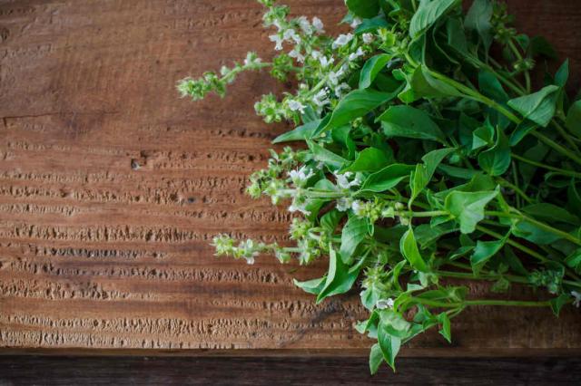 Basilic citron : culture et utilisation en cuisine