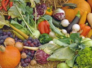 Fruits et légumes de saison en septembre : liste et recettes